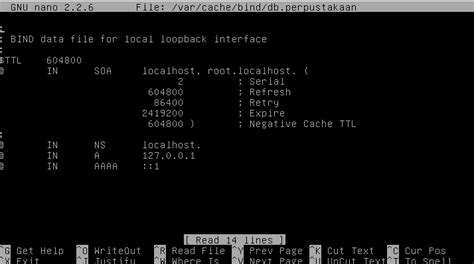 Konfigurasi Dns Server Pada Debian