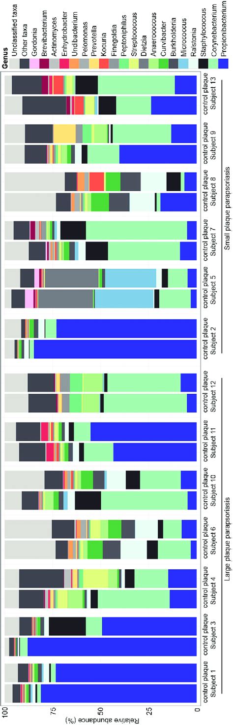 Relative Abundances Of The 20 Most Common Genera In The Microbiome Download Scientific Diagram