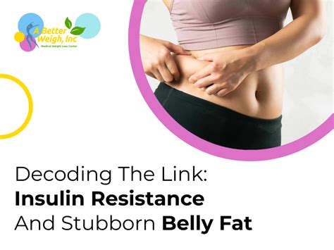 Decoding The Link Insulin Resistance And Stubborn Belly Fat Better Weigh Medical