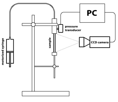 Inflation Extension Test Set Up Download Scientific Diagram