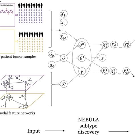 Nebula A Multimodal Integrative Clustering Framework Using A Bayesian