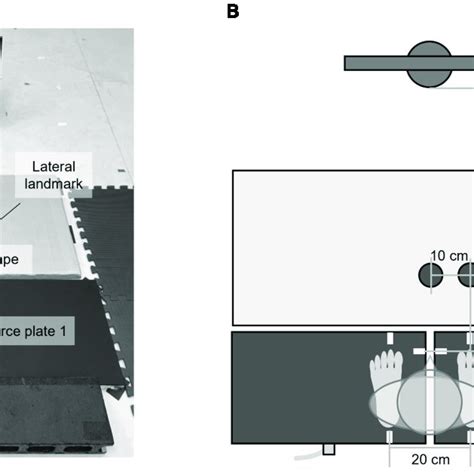 Individualization Of Masticatory Cycles Through 3d Electromagnetic Download Scientific Diagram