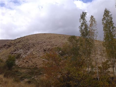 reza jafari posted on linkedin