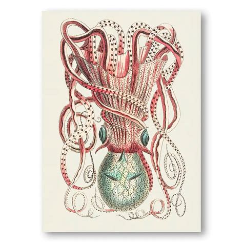 Granulated Cuttle Art Print Portrait Custom Sizes Fine Art Paper And Canvas Stone And Gray