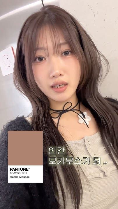 느좋 모카무스 염색 브이로그 🤎🪽 Youtube