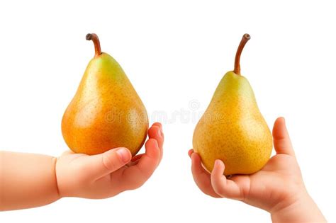 набор груш в детской руке изолированной на белом или прозрачном фоне закрытие груш в боковом