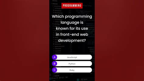 Which Programming Language Is Known For Its Use In Front End Web