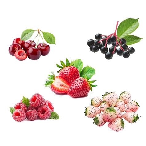 710 Dwarf Fruit Seeds For Planting Individually Packaged Cherries 10pcs White Strawberry