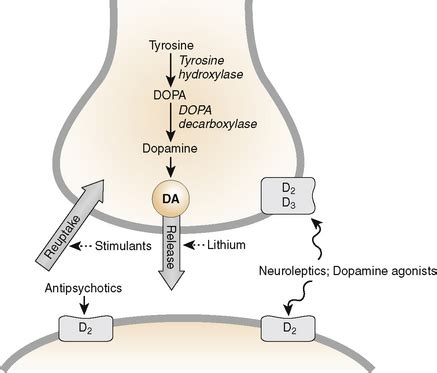 CNS Introduction And Sedative Hypnotic And Anxiolytic Drugs