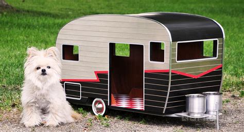 Гэрийн тэжээмэл амьтадын бүтээлч үүрүүд