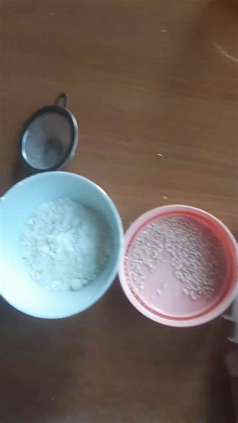 غذای جوجه گنجشک