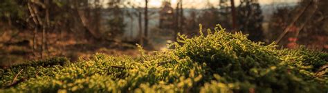 Understanding Density Based Clustering Kdnuggets