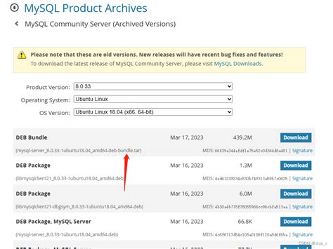 ubuntu18 04安装mysql8 0 33 亲测有效） ubuntu安装mysql 8 0 33 csdn博客