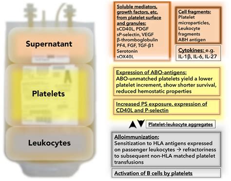 Platelet Transfusion