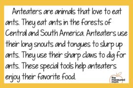 Teaching Expository Text Structure The Measured Mom