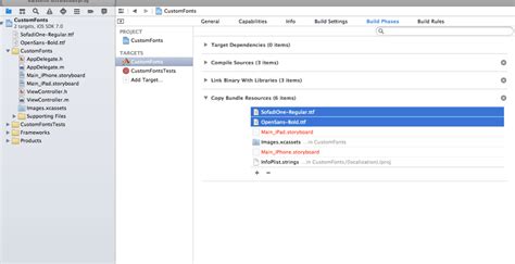 How To Add Custom Fonts In IOS