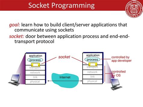 Application Layer and Socket Programming - ppt download
