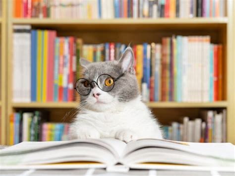 Matthew Devaney No Ads No Fluff Just Power Apps Stuff