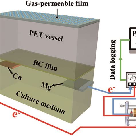 Schematic Diagram Of The Fermentation Apparatus And The Data Download Scientific Diagram