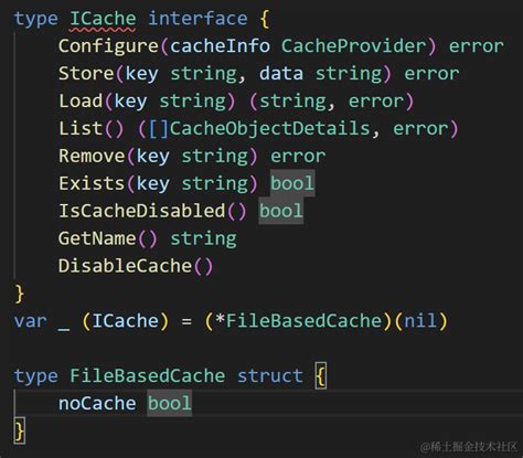 Go Var Interface Struct Nil