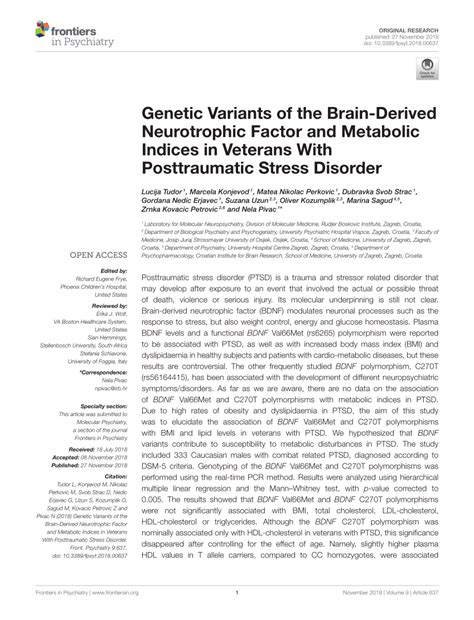 Pdf Genetic Variants Of The Brain Derived Neurotrophic Factor And Metabolic Indices In