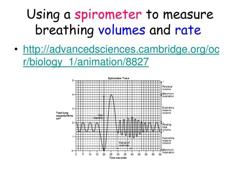 How Do You Measure Tidal Volume Using A Spirometer At Devin Solis Blog
