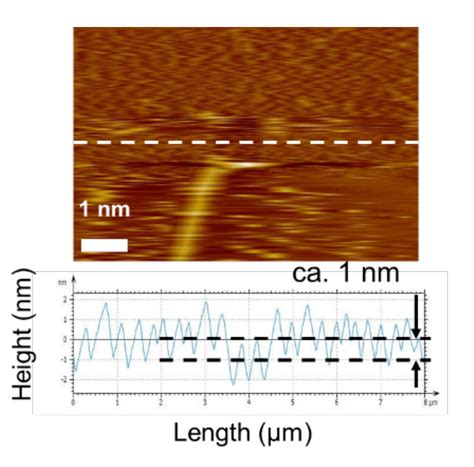 Construction Of Aggregation Induced Emission Monolayer At The Airwater