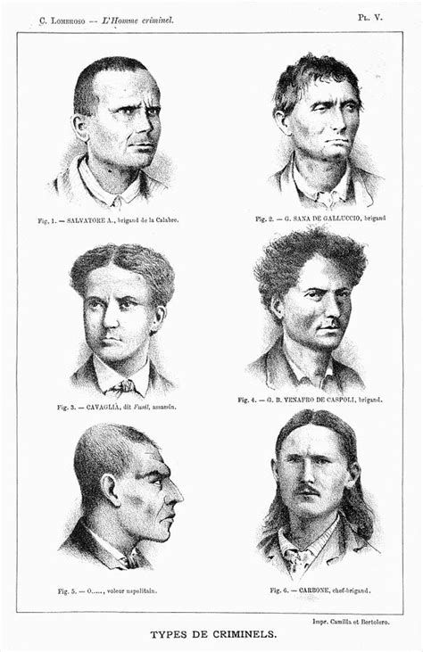 Biological Theories Of Crime