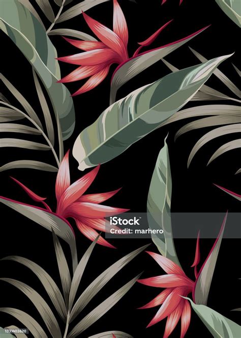 파라다이스 꽃과 야자 잎 배경 템플릿의 새의 원활한 패턴 트로피컬 프린트 웨딩 초대장 인사말 카드 브로셔 배너 및 패션 디자인을 위한 플로럴 요소 세트 0명에 대한 스톡