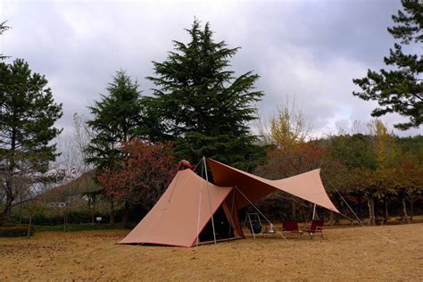 가격내림 캠핑홀릭 면 텐트 당근 중고거래