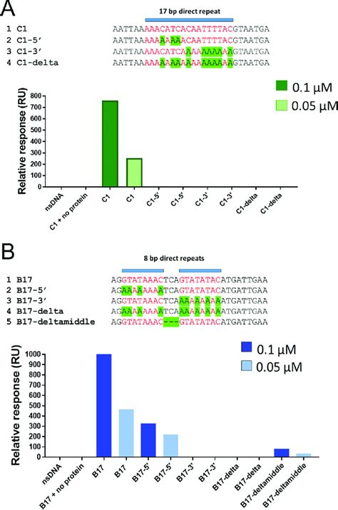 parr c pcw3 and parr b pjir4165 bind to direct repeats within