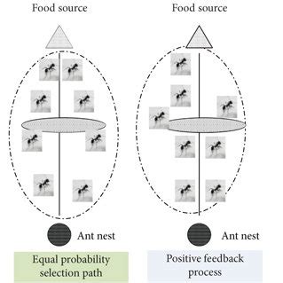 Schematic Diagram Of Ant Colony Searching For Food Source Download Scientific Diagram