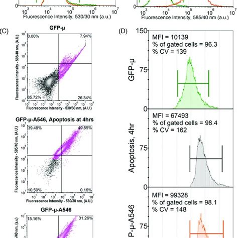 Illustrations Of Time Resolved Flow Cytometry Instrumentation And