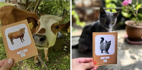 ფლორა ლენდი ფლორა ლენდი Added A New Photo