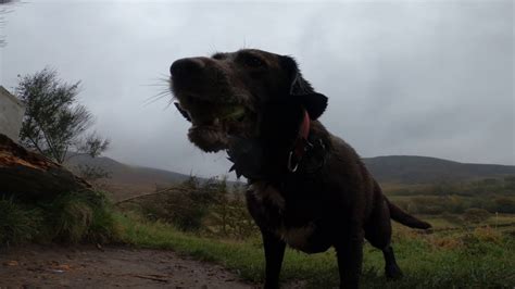 Dovestones Reservoir Youtube