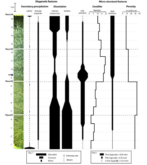 The Spatial Distribution Of Skeletal Diagenetic And Micro Structural