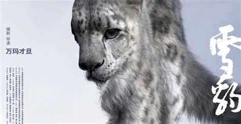 万玛才旦遗作《雪豹》获第36届东京电影节最佳影片奖腾讯新闻