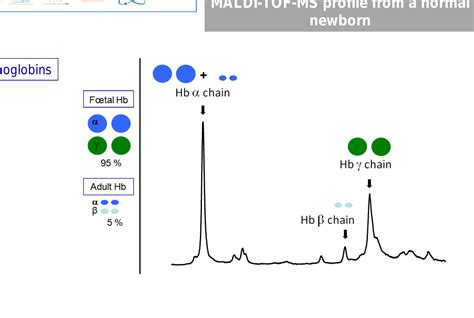 Figure 1 Implementation Of The First Maldi Tof Ms Platform