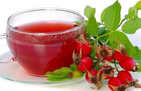 ასკილის ნახარში 2 საუკეთესო მეთოდი ორგანიზმის ტონუსის მოსამატებლად რჩევები ვივიენისგან