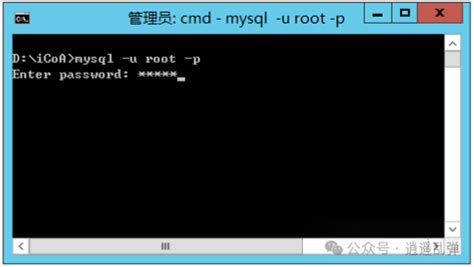 MySQL 基础命令行选择创建删除数据库以及显示删除和搜索数据 知乎