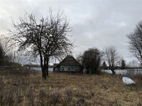 Abandoned Rural House Surrounded By Trees And Overgrown Grass On A