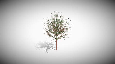 l system trees a 3d model collection by uesreseach sketchfab