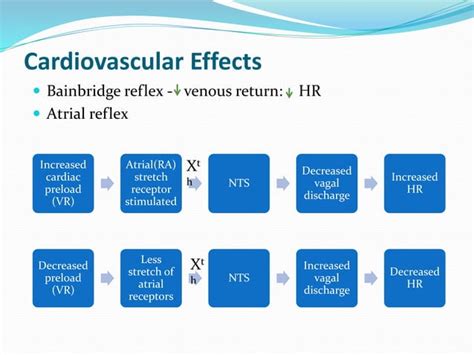 Subarachnoid Block Dr Amit 1 Pptx
