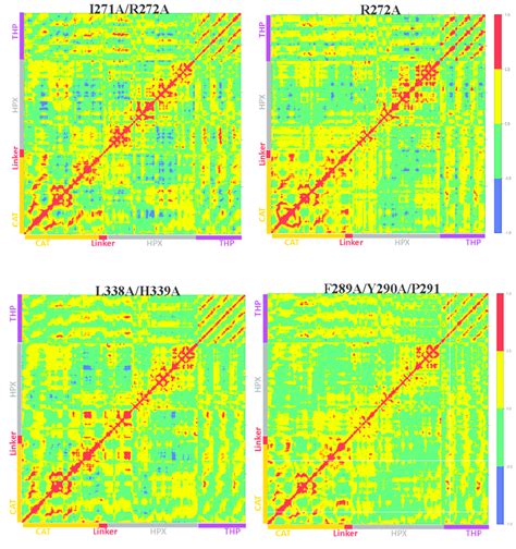 The Dynamic Cross Correlation Analysis Dcca Of Mmp 1 Bulletthp And Download Scientific