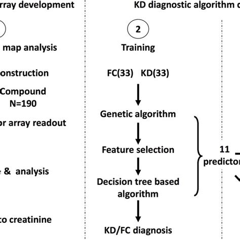 Experimental Design To Assemble A Colorimetric Urine Sensor Array To