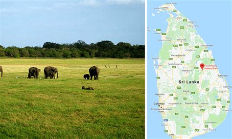 The Lesser Known National Parks Of Sri Lanka Pulse