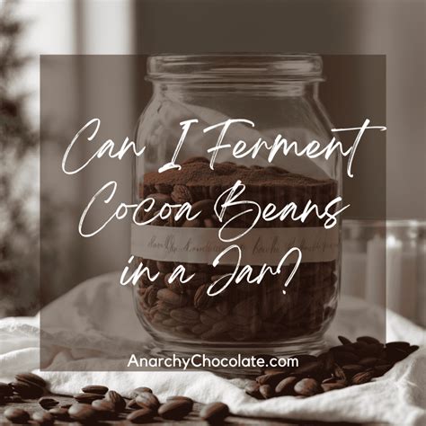 How To Ferment Cocoa Beans At Home 5 Steps