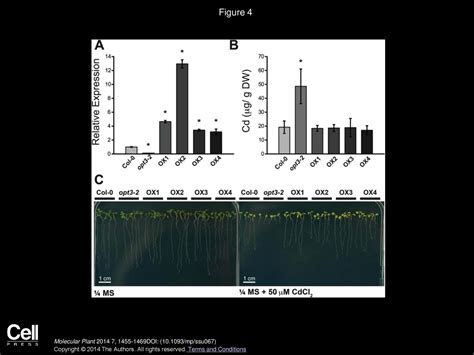 Volume 7 Issue 9 Pages September 2014 Ppt Download