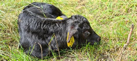 Discover More Like Farming The Best Part Of Having A Farm And Related Content Scrolller