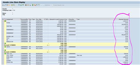 How To Add Payment Amount Field In Fbl1n Transacti Sap Community